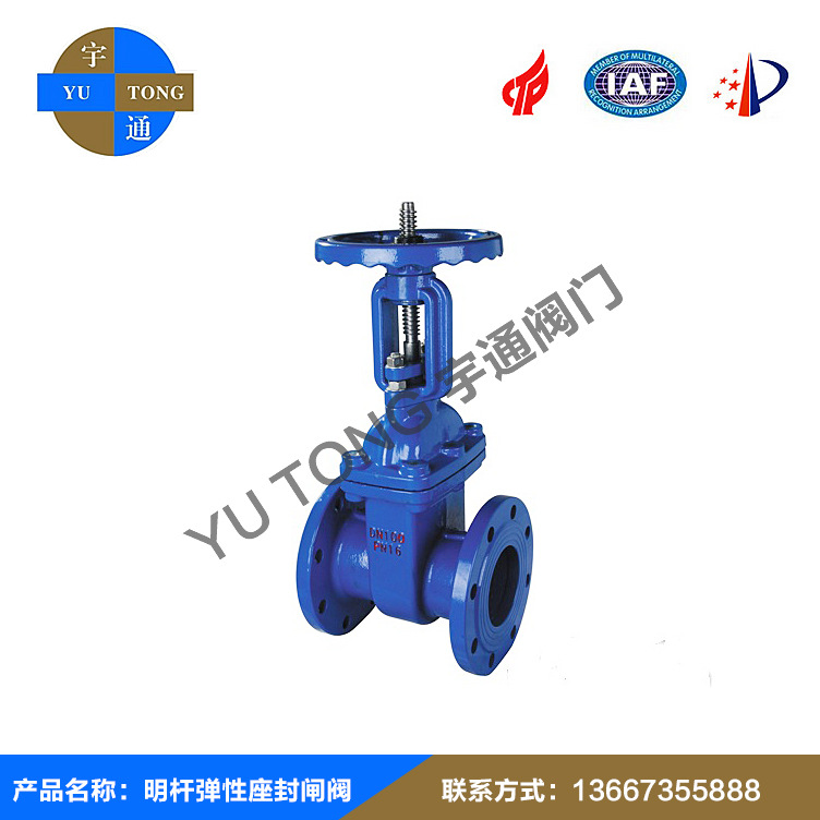 软密封闸阀 明杆弹性座封闸阀 厂家直销 Z41X-16Q DN50 - 阀批发网