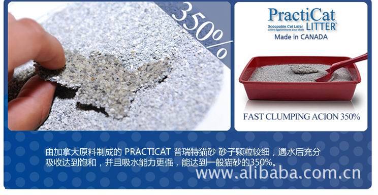 חול לחתול פרקטיקט practicat cat litter | חול לחתולים | חול מתגבש | גולד ...