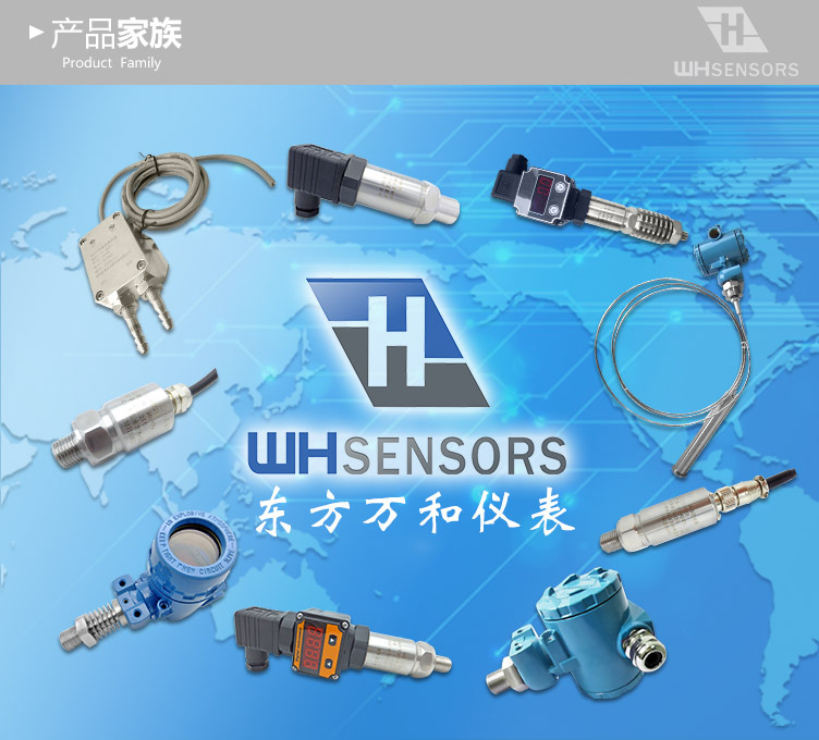 ST3351压力变送器 智能型ST3351差压变送器 德国工艺 高精度[品牌 价格 图片 报价]-易卖工控网